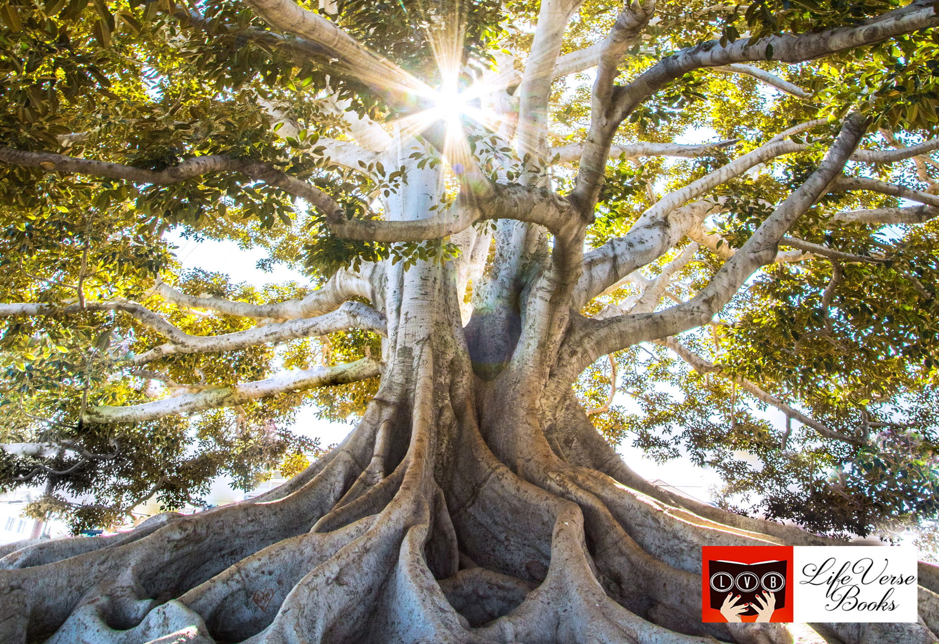 Magnificent Obsession Kindle Collection! ~ LifeVerse Books